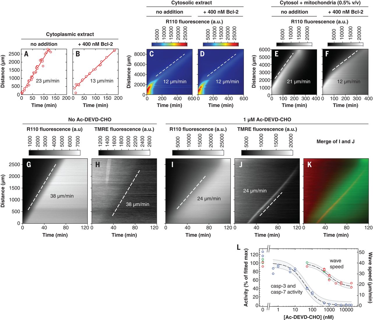 集智斑图 - 用知识连接探索者