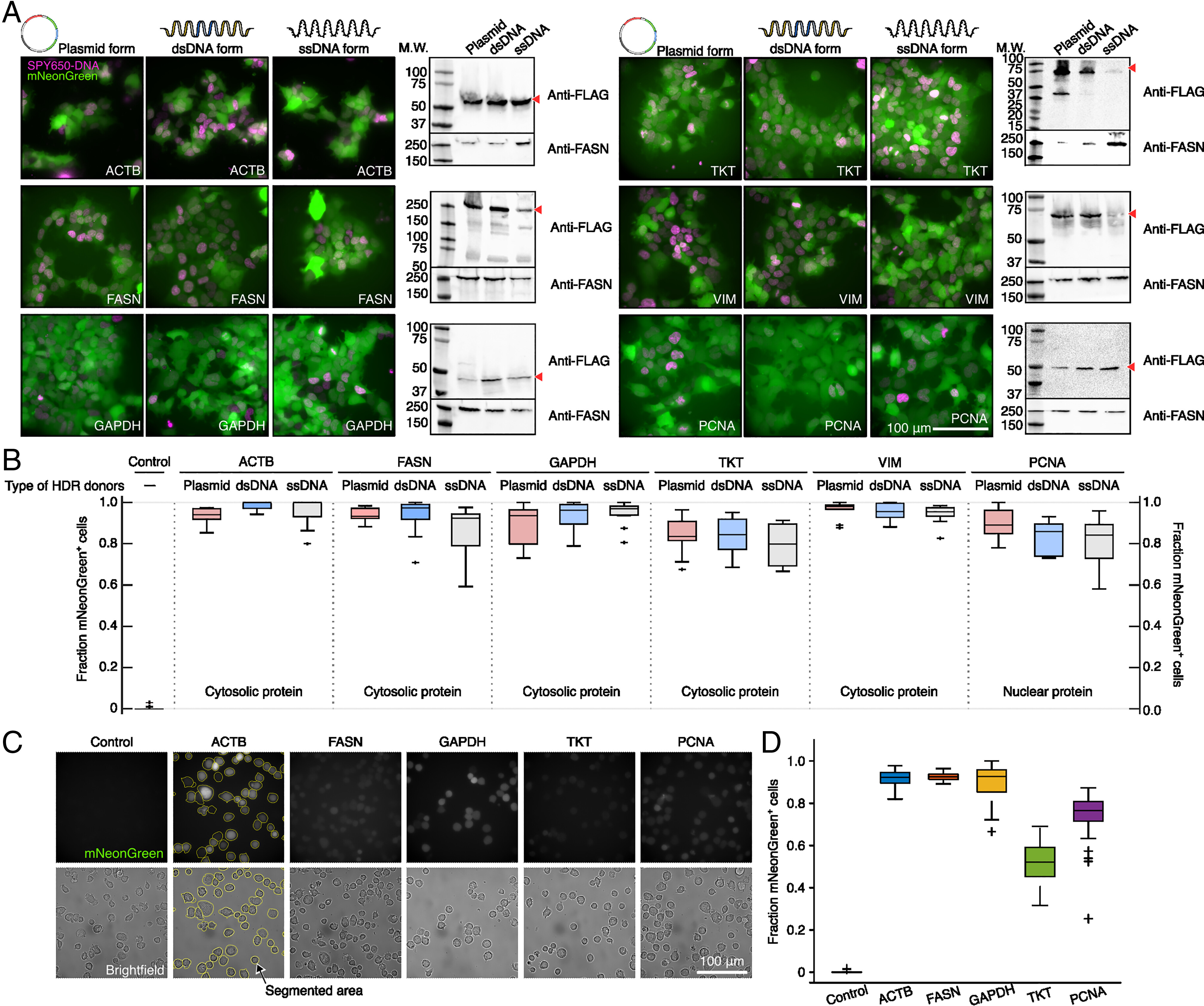 集智斑图 - 用知识连接探索者