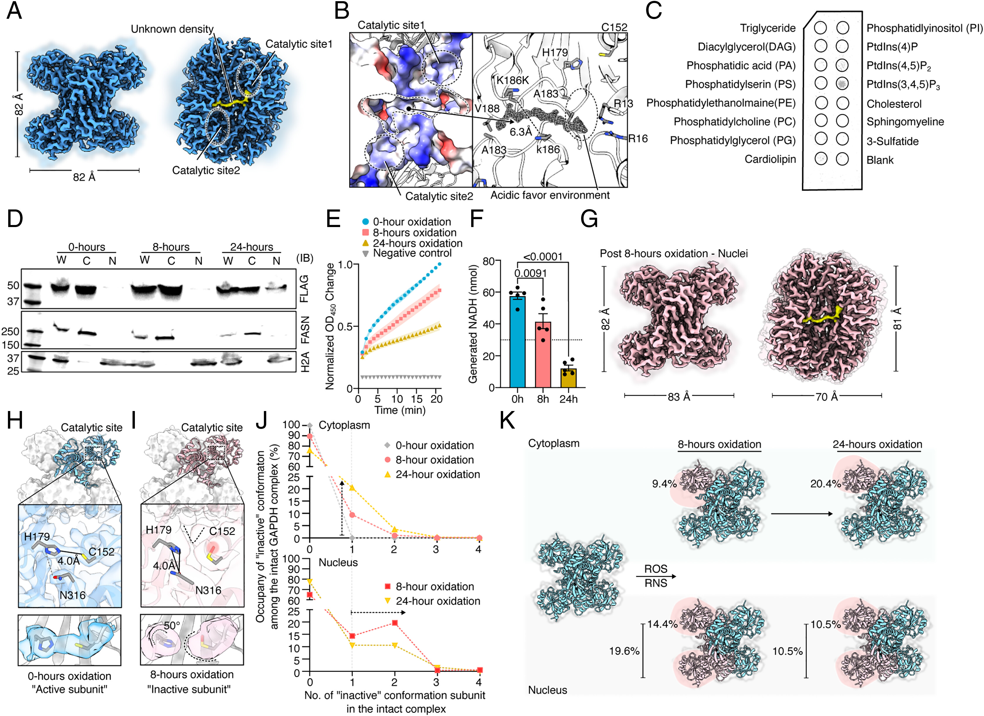 集智斑图 - 用知识连接探索者