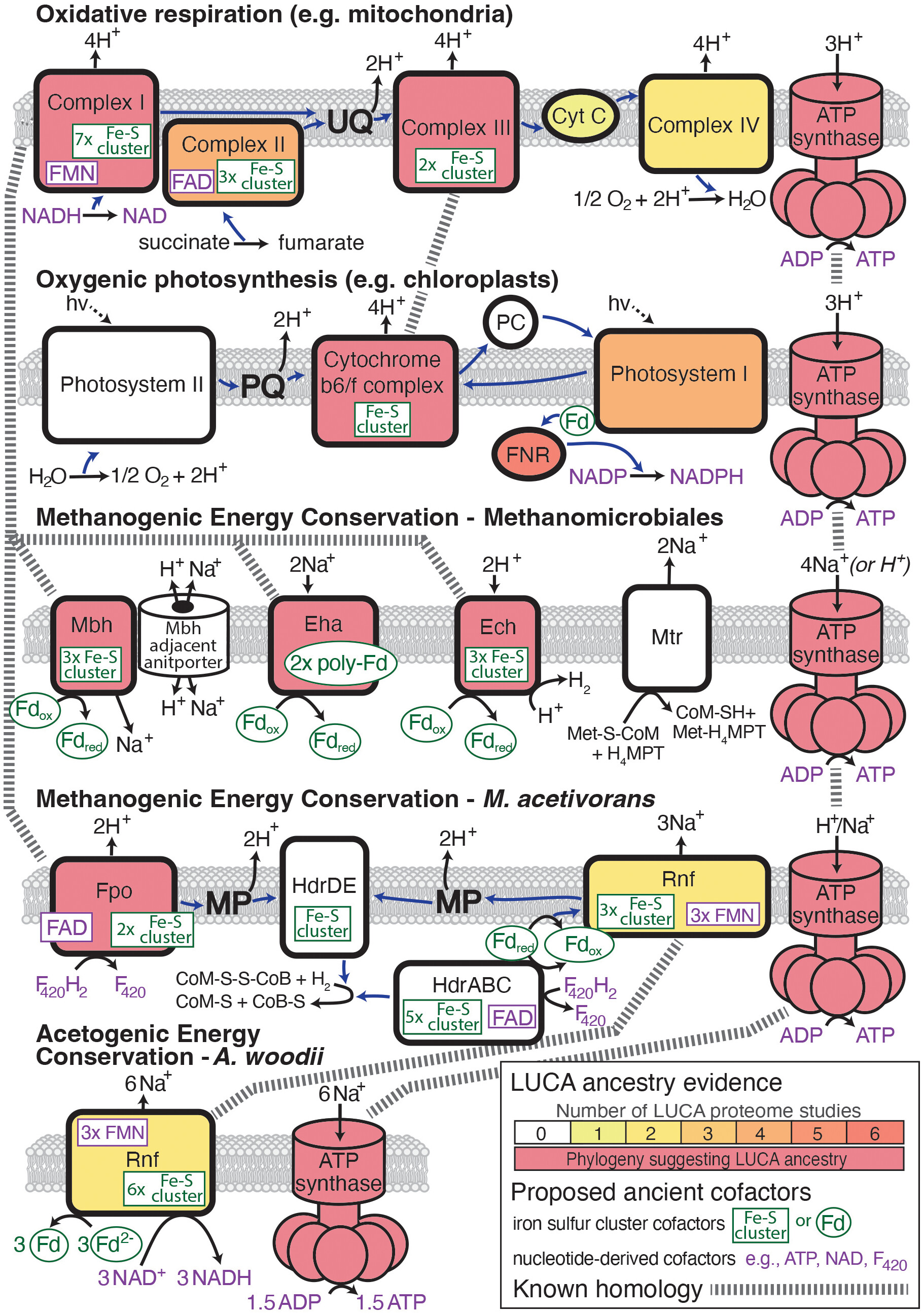 集智斑图 - 用知识连接探索者