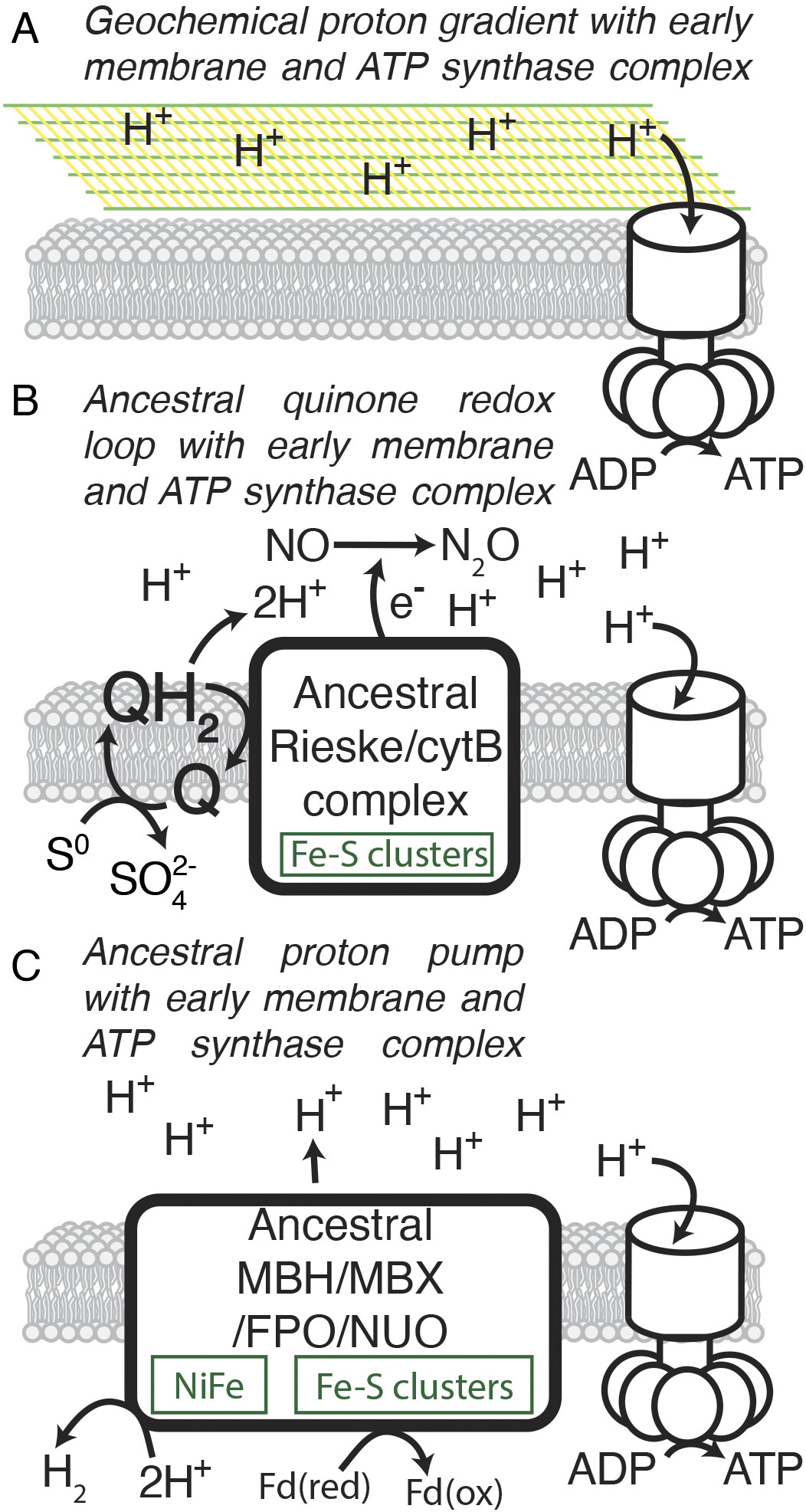 集智斑图 - 用知识连接探索者