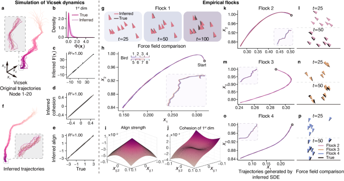 Learning interpretable dynamics of stochastic complex systems from experimental data | 集智斑图