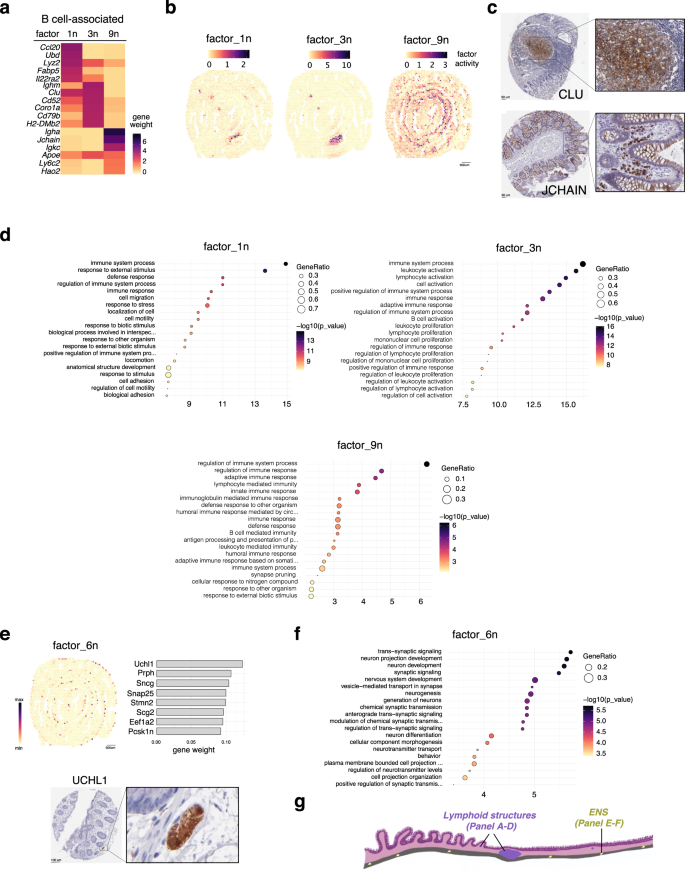 集智斑图 - 用知识连接探索者