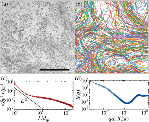 集智斑图 - 用知识连接探索者