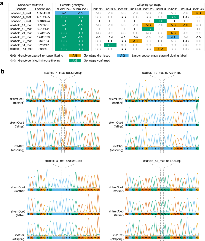 集智斑图 - 用知识连接探索者