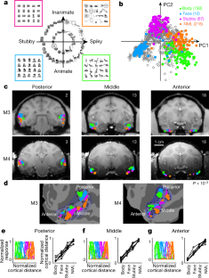 集智斑图 - 用知识连接探索者