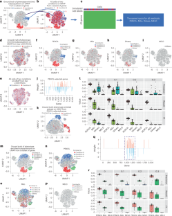 Supervised learning of high-confidence phenotypic subpopulations from single-cell data | 集智斑图