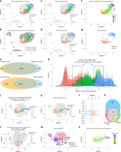 Supervised learning of high-confidence phenotypic subpopulations from single-cell data | 集智斑图