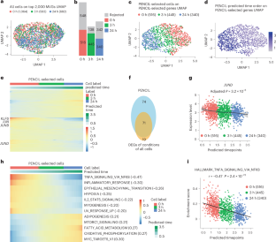 Supervised learning of high-confidence phenotypic subpopulations from single-cell data | 集智斑图