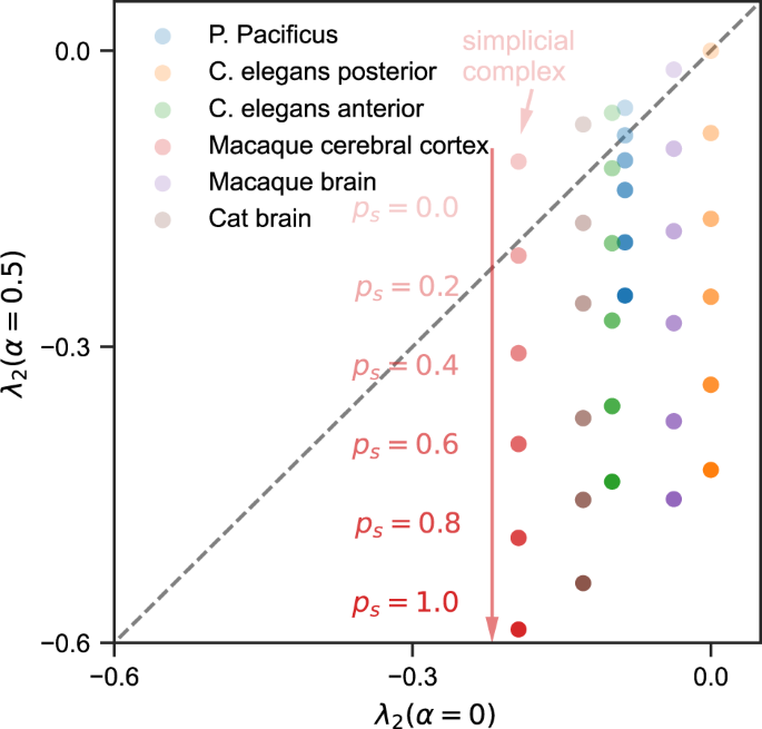 Higher-order interactions shape collective dynamics differently in hypergraphs and simplicial ...