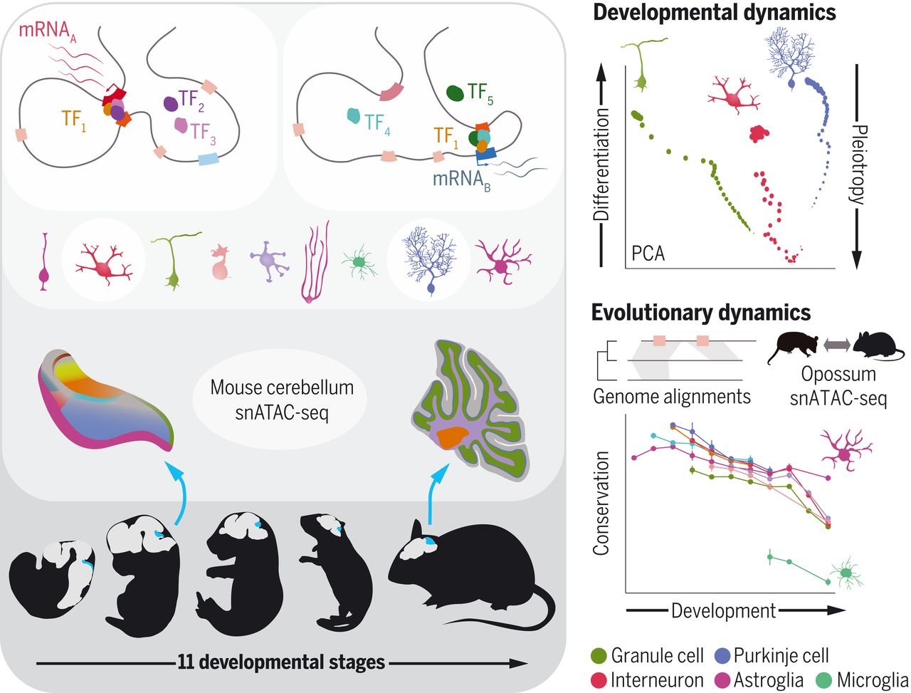 集智斑图 - 用知识连接探索者