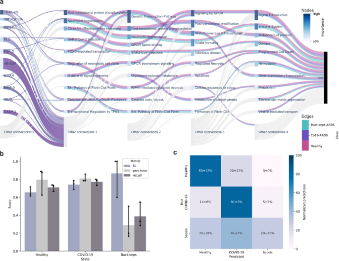 Interpreting biologically informed neural networks for enhanced proteomic biomarker discovery ...