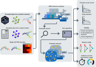 Benchmarking algorithms for gene regulatory network inference from ...