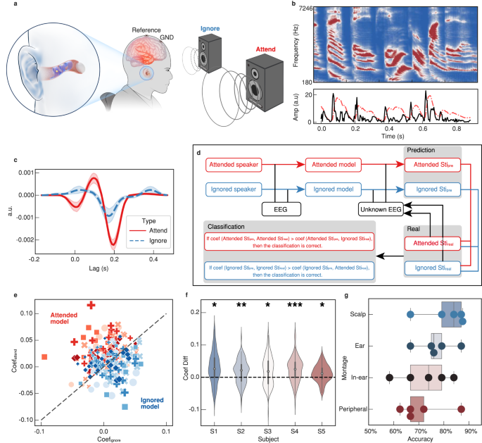 Conformal in-ear bioelectronics for visual and auditory brain-computer interfaces | 集智斑图