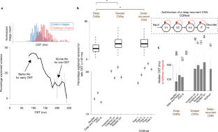 Evidence that recurrent circuits are critical to the ventral stream’s execution of core object ...