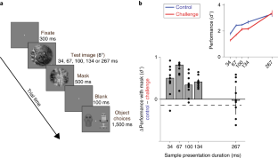 Evidence that recurrent circuits are critical to the ventral stream’s execution of core object ...