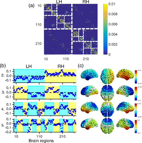 Hierarchical Connectome Modes and Critical State Jointly Maximize Human Brain Functional ...