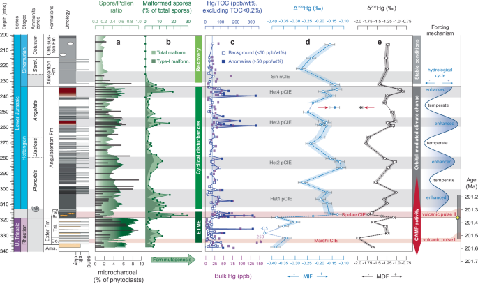 Climate-forced Hg-remobilization associated with fern mutagenesis in the aftermath of the end ...