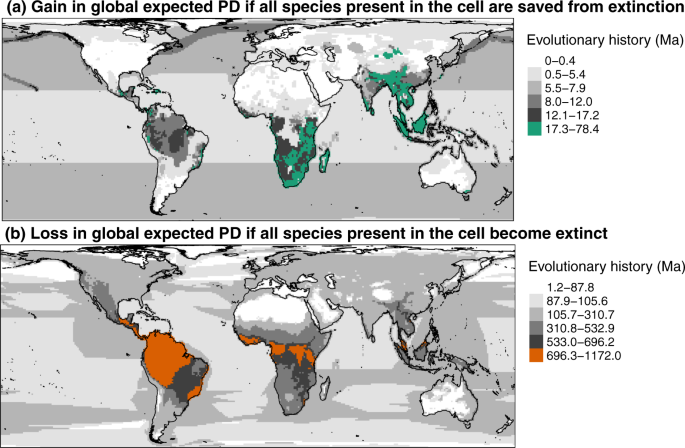 Revisiting species and areas of interest for conserving global ...
