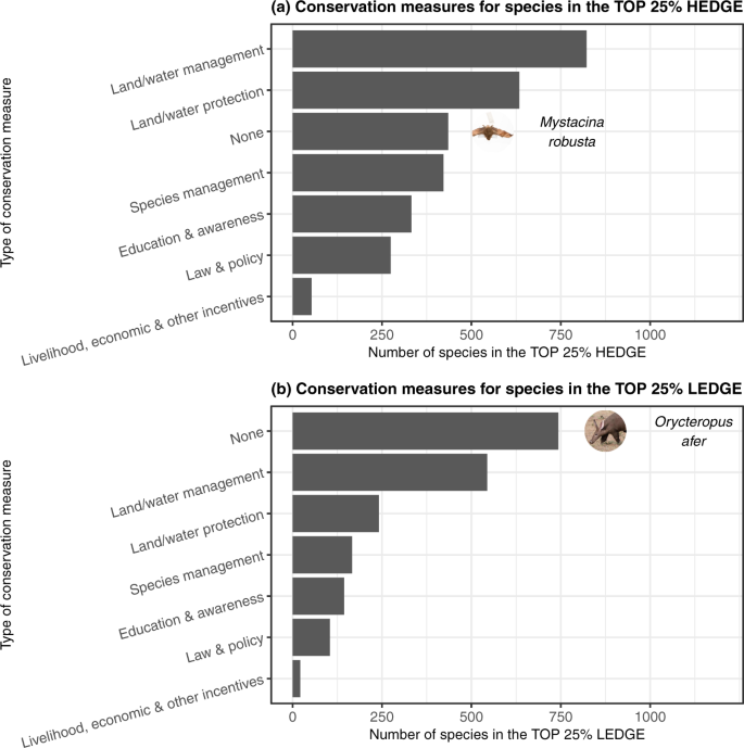 Revisiting species and areas of interest for conserving global ...