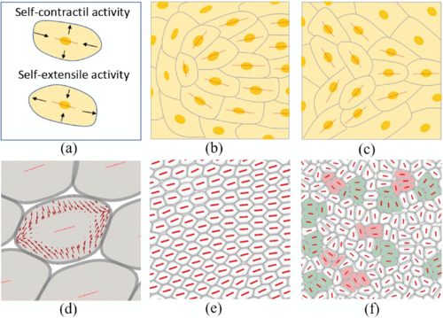 集智斑图 - 用知识连接探索者