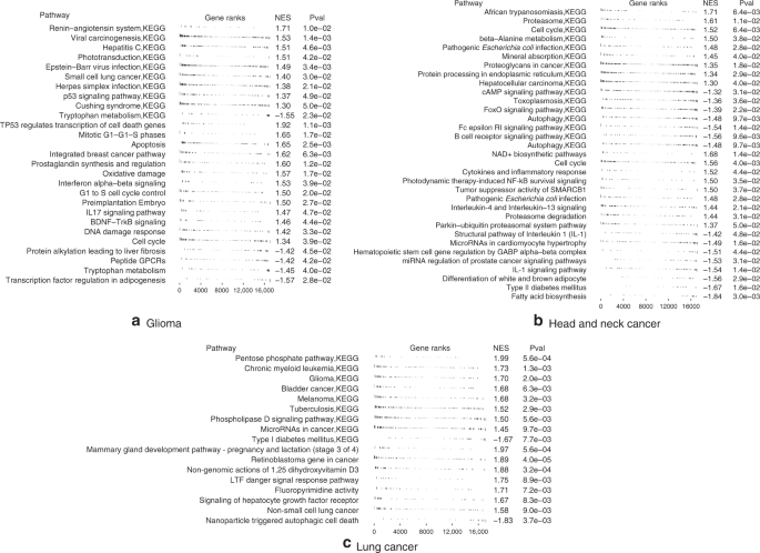 A Meta Learning Approach For Genomic Survival Analysis 集智斑图