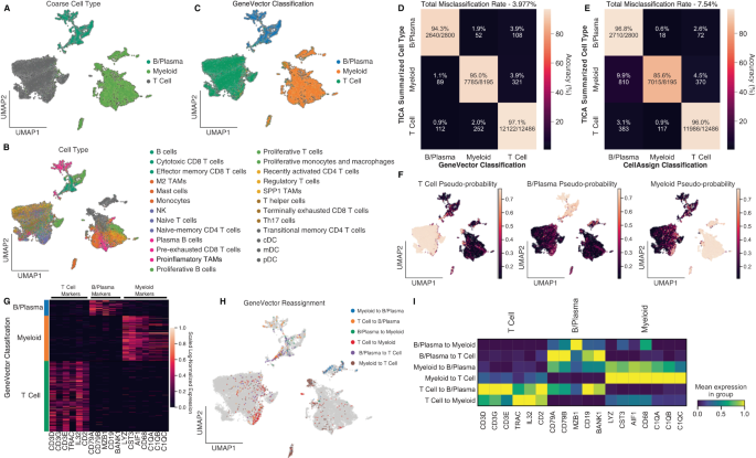 Identification of transcriptional programs using dense vector ...