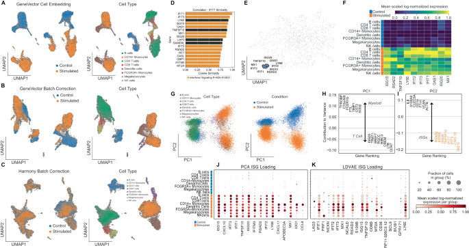 Identification of transcriptional programs using dense vector ...
