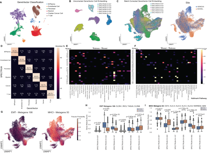 Identification of transcriptional programs using dense vector ...