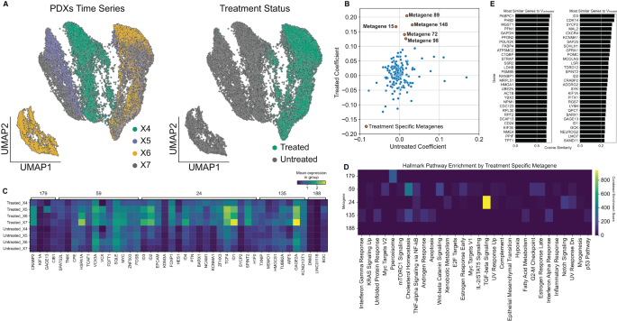 Identification of transcriptional programs using dense vector ...
