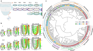 集智斑图 - 用知识连接探索者