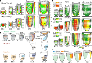 集智斑图 - 用知识连接探索者
