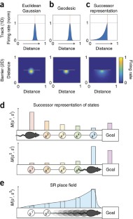 The hippocampus as a predictive map | 集智斑图