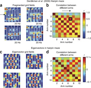 The hippocampus as a predictive map | 集智斑图