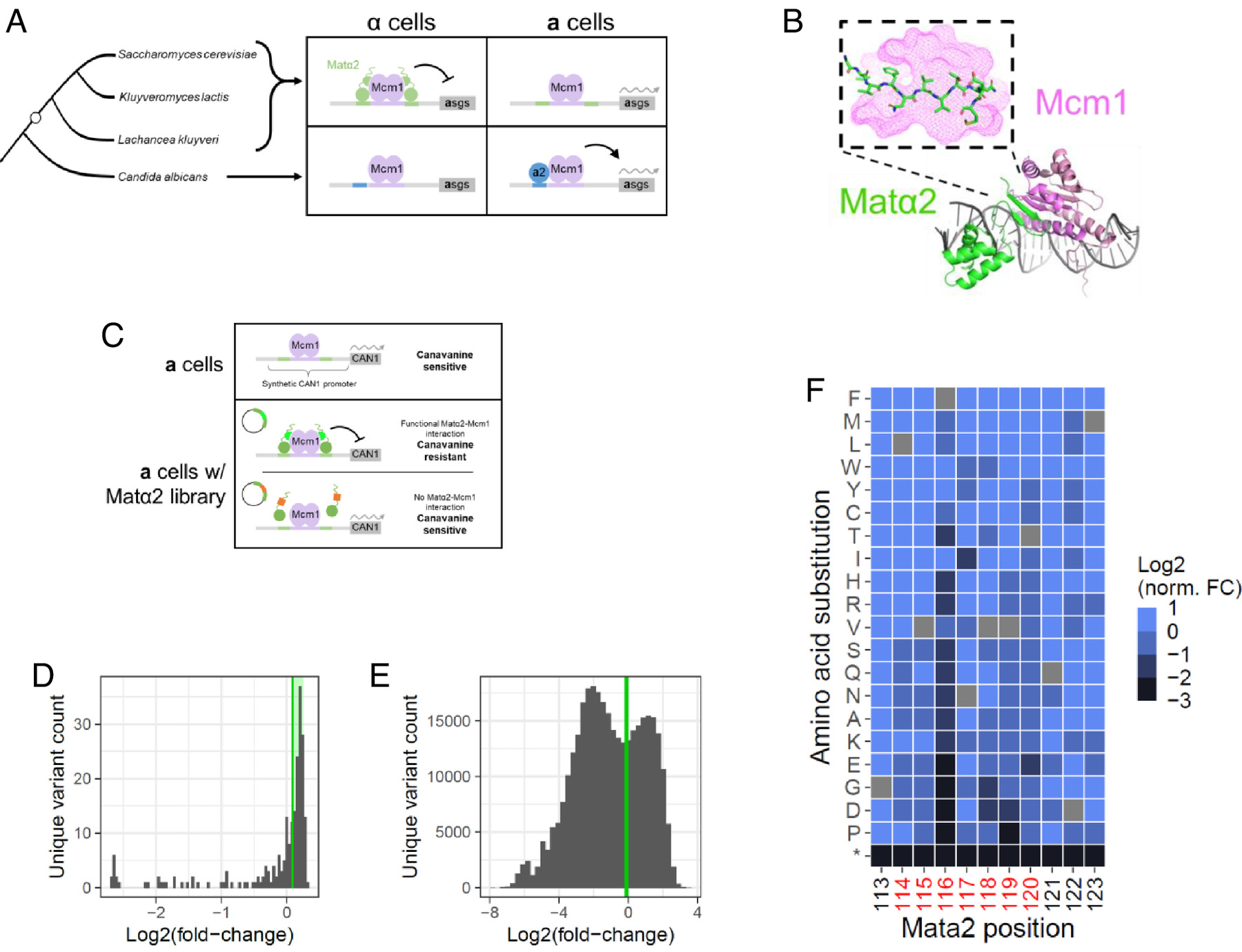 集智斑图 - 用知识连接探索者