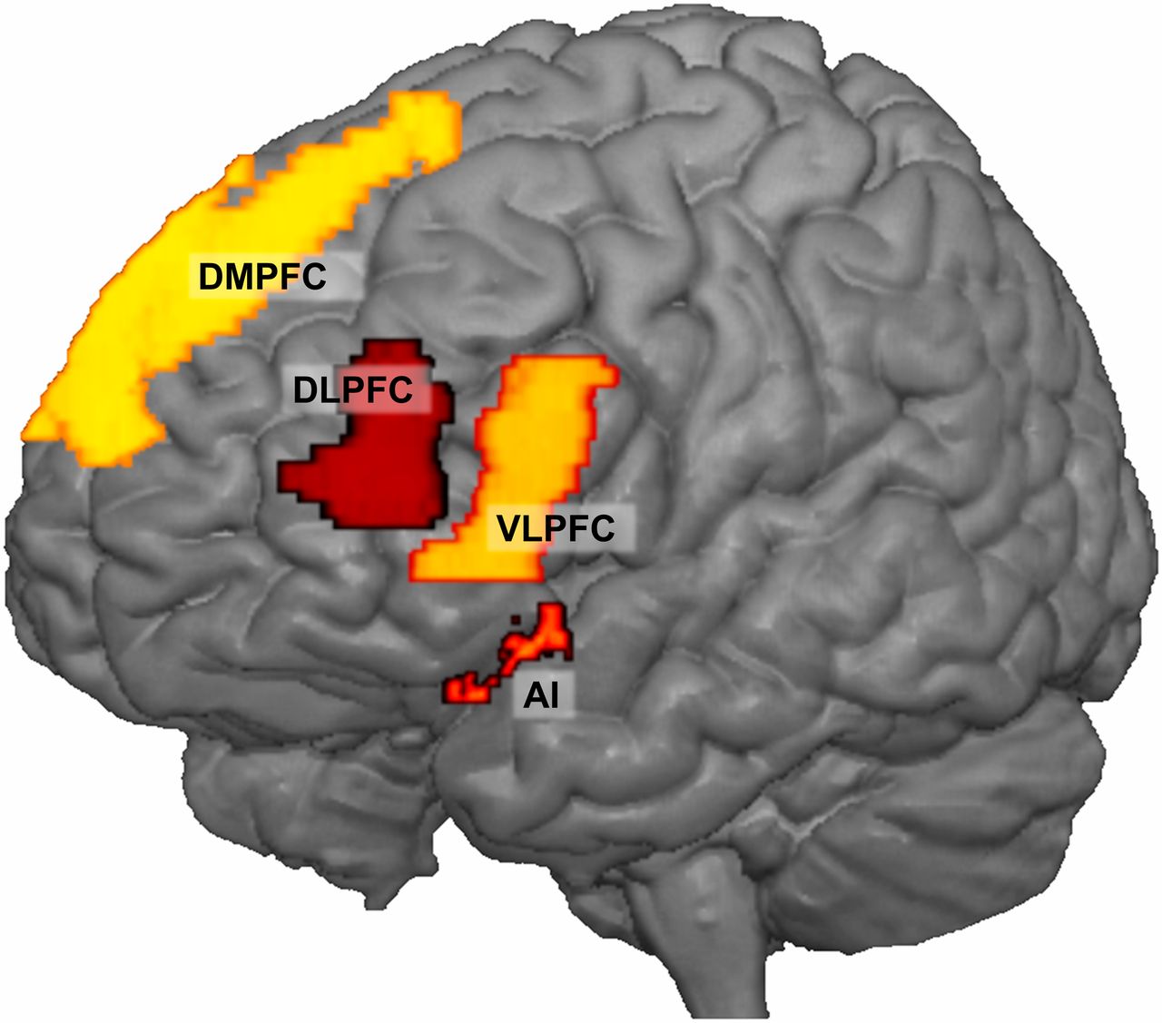 集智斑图 - 用知识连接探索者