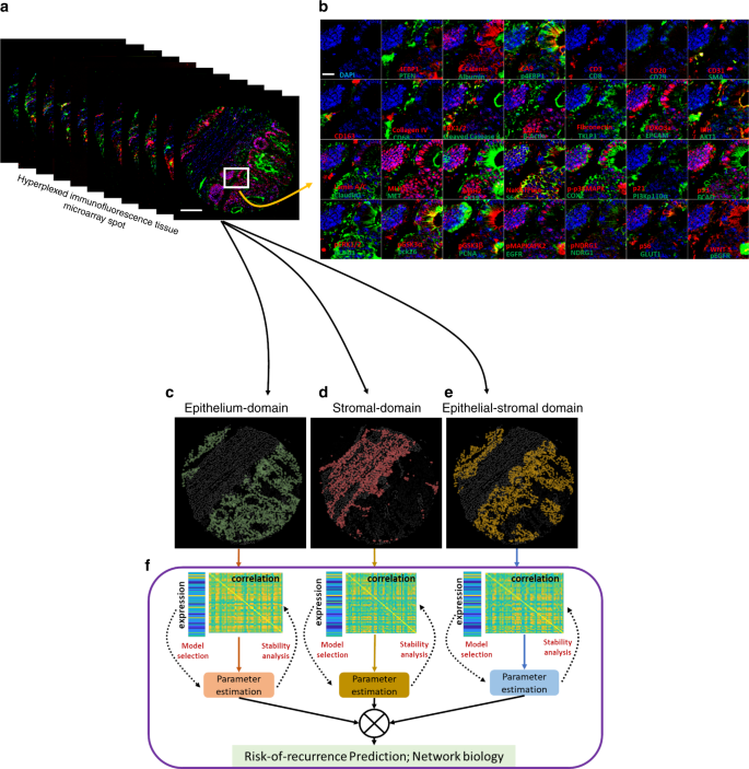 集智斑图 - 用知识连接探索者