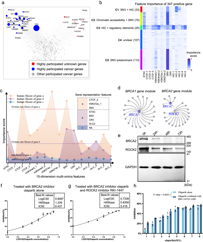 集智斑图 - 用知识连接探索者