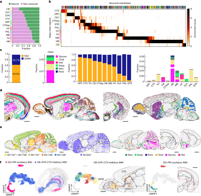 集智斑图 - 用知识连接探索者