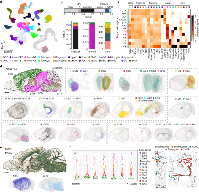 集智斑图 - 用知识连接探索者
