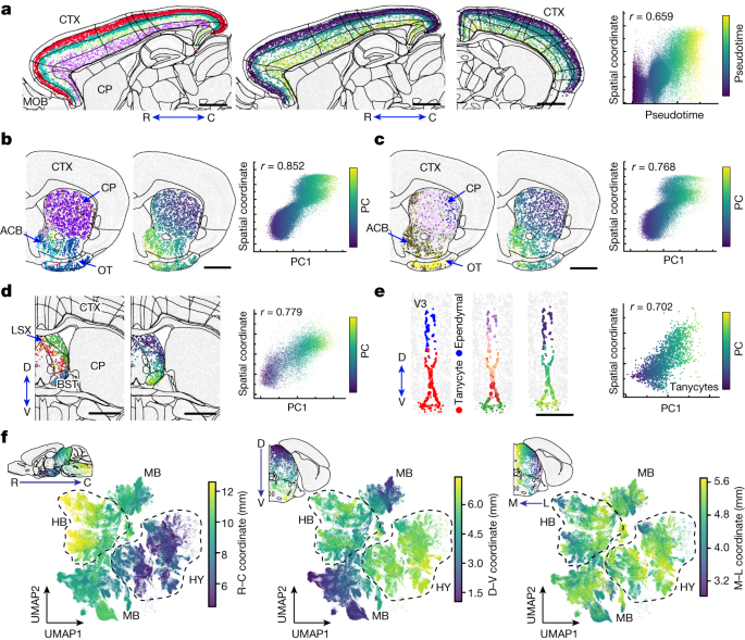 集智斑图 - 用知识连接探索者