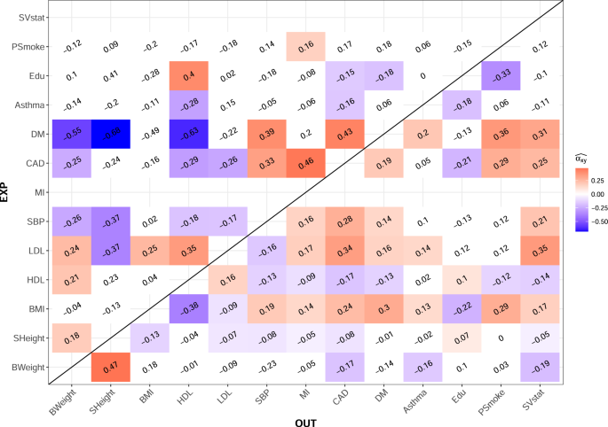 集智斑图 - 用知识连接探索者