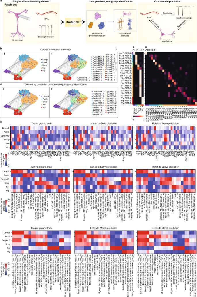 集智斑图 - 用知识连接探索者