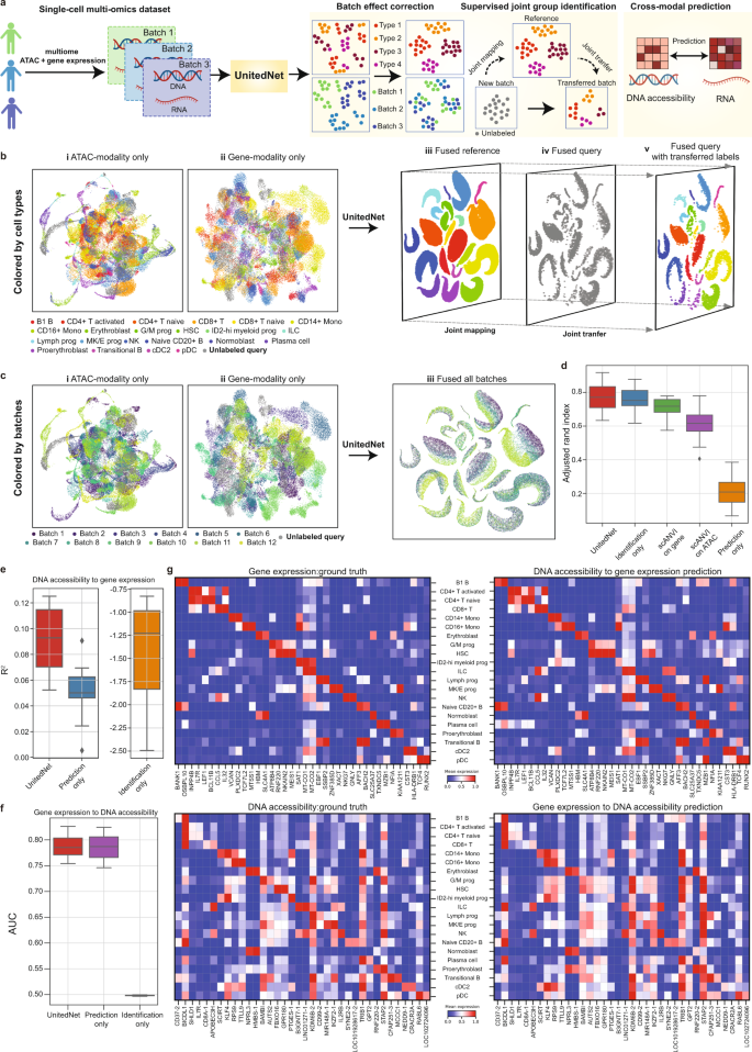 集智斑图 - 用知识连接探索者