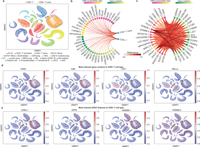 集智斑图 - 用知识连接探索者