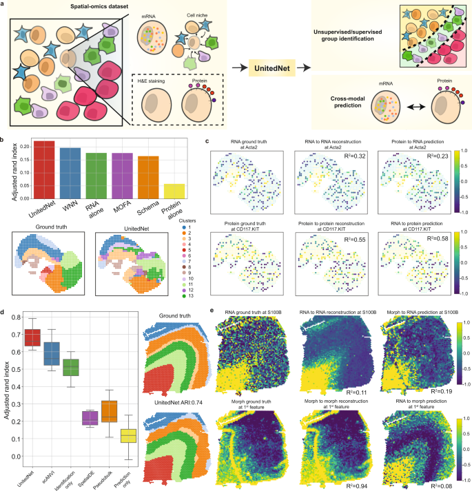 集智斑图 - 用知识连接探索者