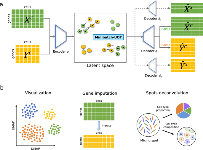 A unified computational framework for single-cell data integration with optimal transport | 集智斑图