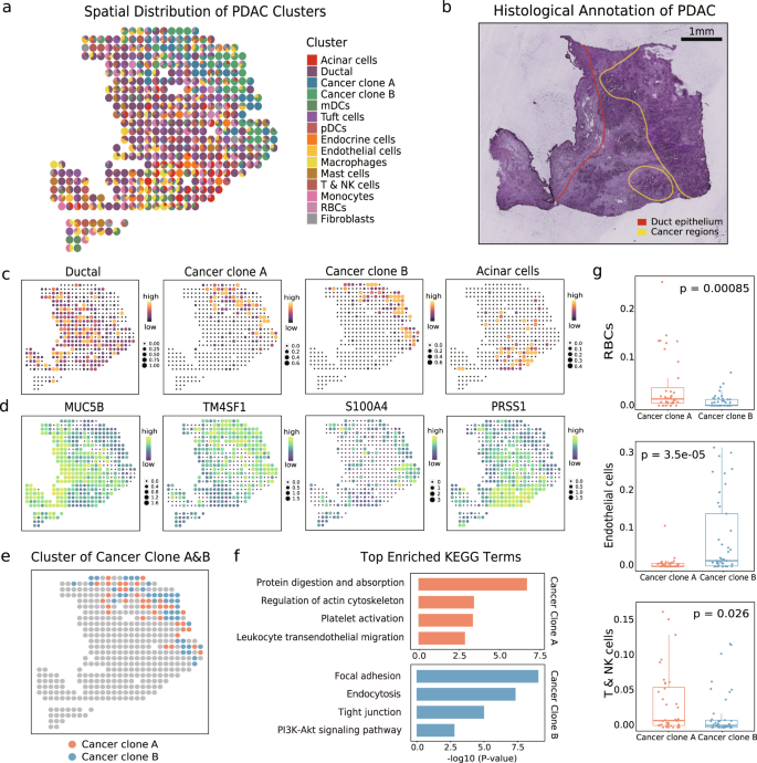 A unified computational framework for single-cell data integration with optimal transport | 集智斑图