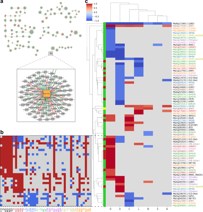 Cross-stress gene expression atlas of Marchantia polymorpha reveals the ...