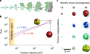 Universal scaling laws rule explosive growth in human cancers | 集智斑图
